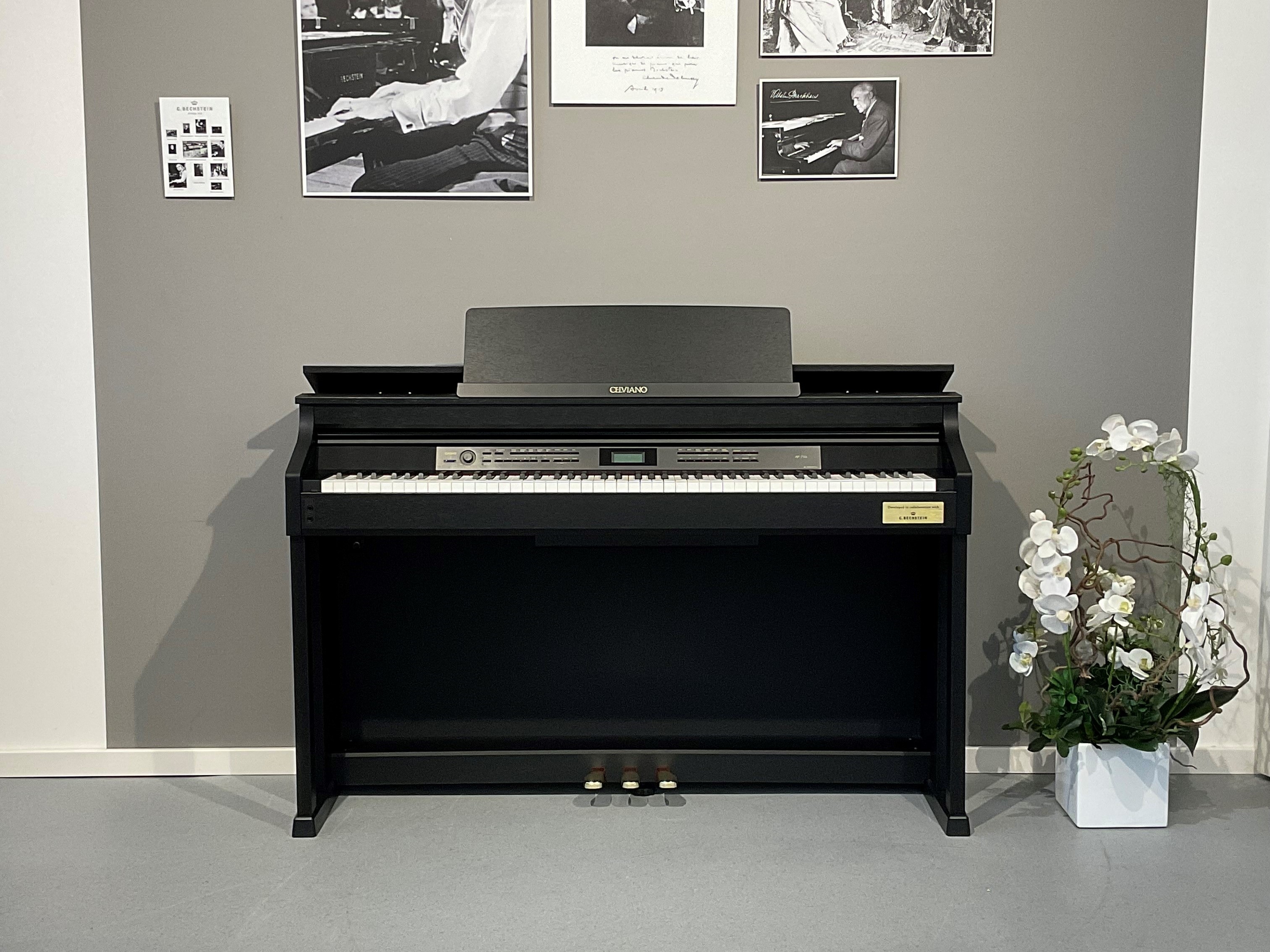 Klavier & Flügel gebraucht in Berlin • C. Bechstein