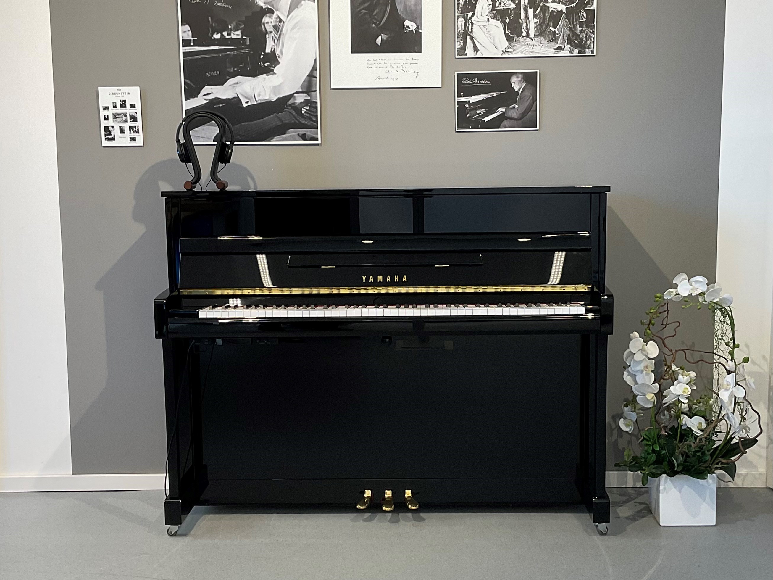 Klavier & Flügel gebraucht in Berlin • C. Bechstein