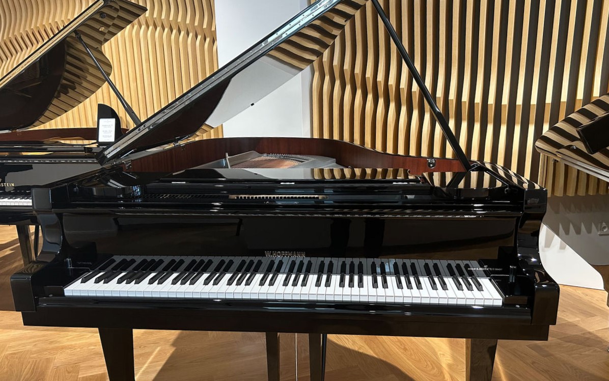 Gebrauchte Piano / Klaviere & Flügel in Wien • C. Bechstein